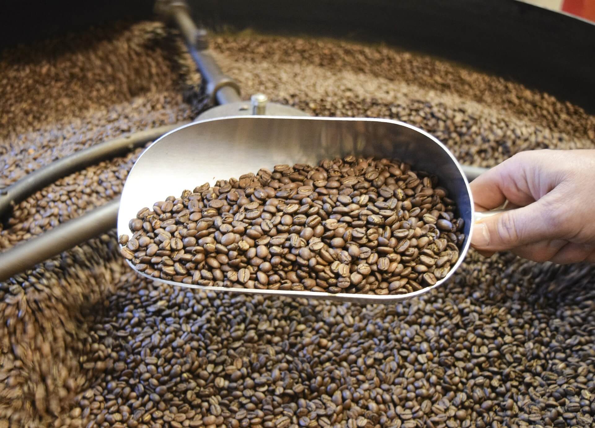 ᐅ Kaffee rösten - Wissenswertes rund ums Röstverfahren